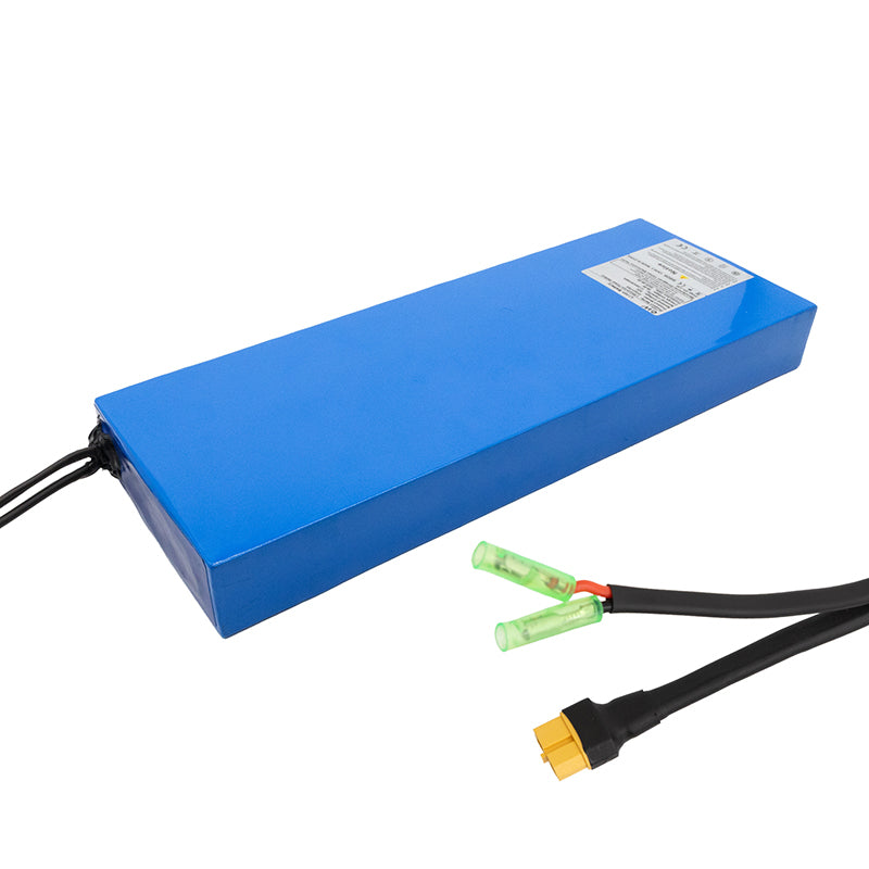 52V 17.5Ah Battery for Dualtron Mini [Ewheel] – Ewheel-b2b